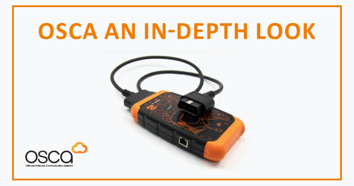 3D Group | OSCA AN IN-DEPTH LOOK